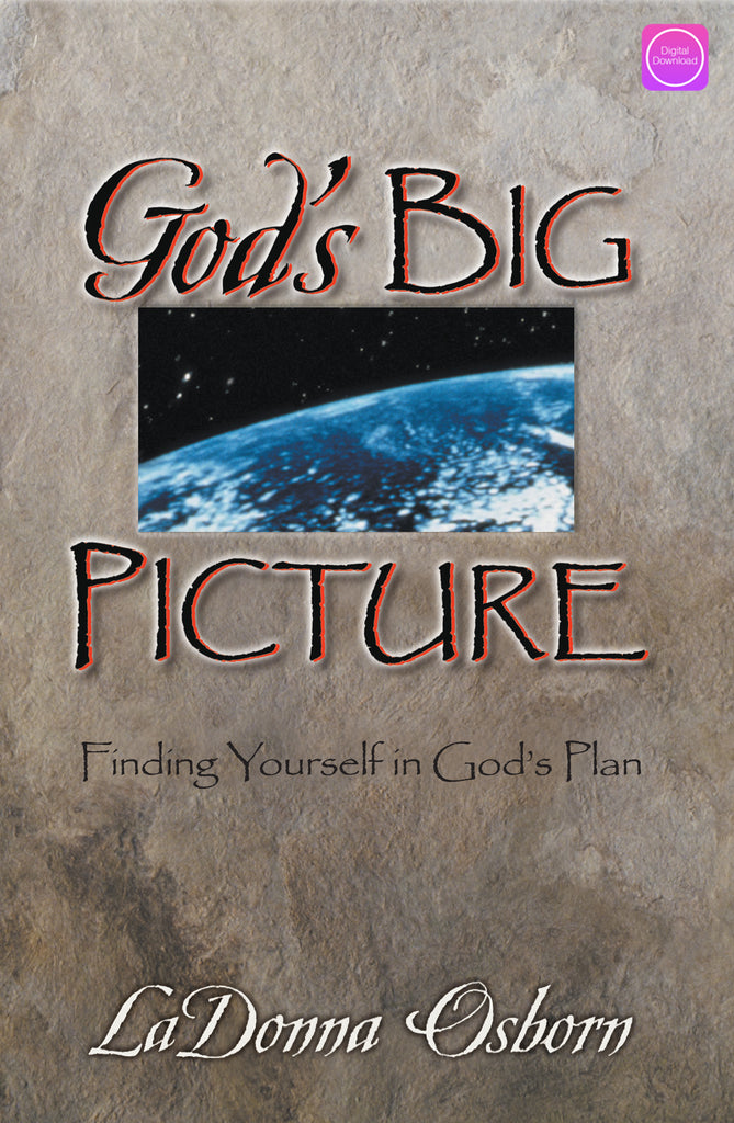 God's Big Picture - Digital Book – Osborn Ministries International